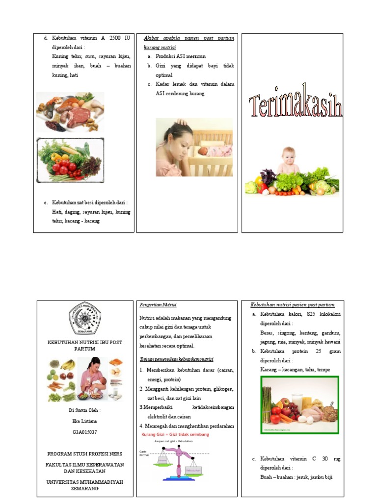 Leaflet Nutrisi Post Partum | PDF