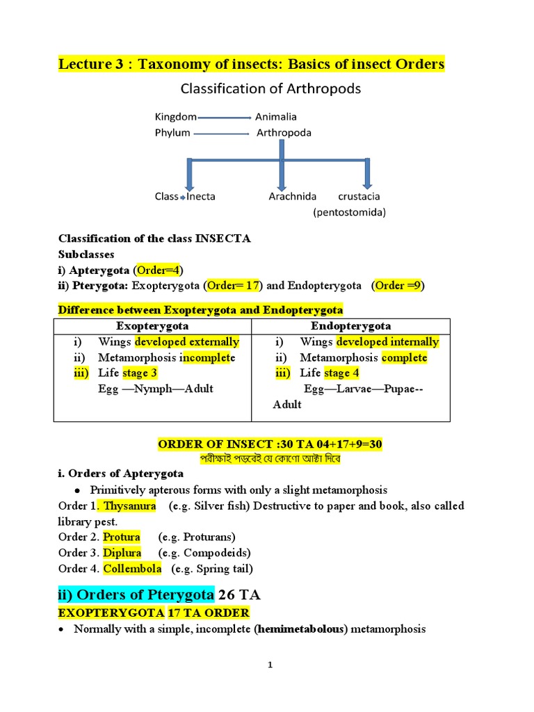 Insecta Taxonomy: Orders Overview | PDF | Beetle | Insects