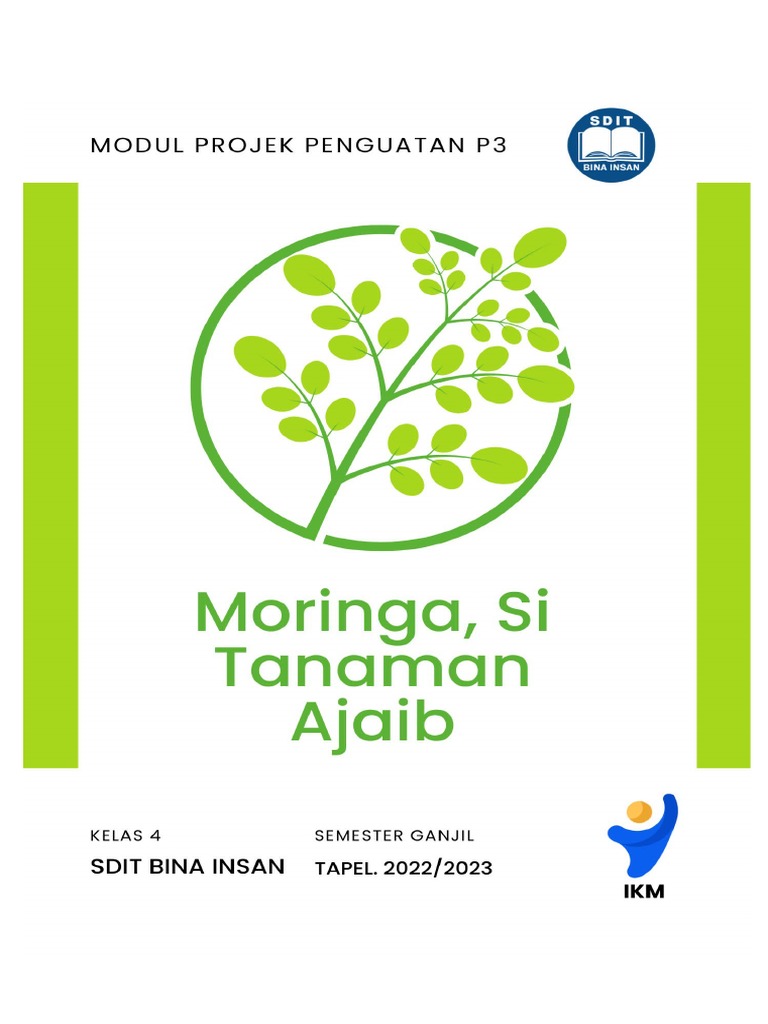 Modul P5 Kelas 4-6 Dimensi Kerirausahan | PDF