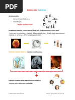 Linea Del Tiempo Embriologia | PDF | Embrión | Fertilización en vitro