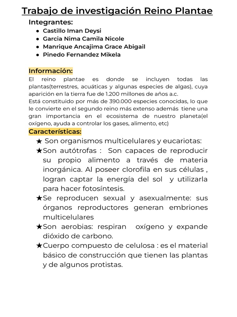 Trabajo de Investigacion Reino Plantae | PDF | Plantas | Algas