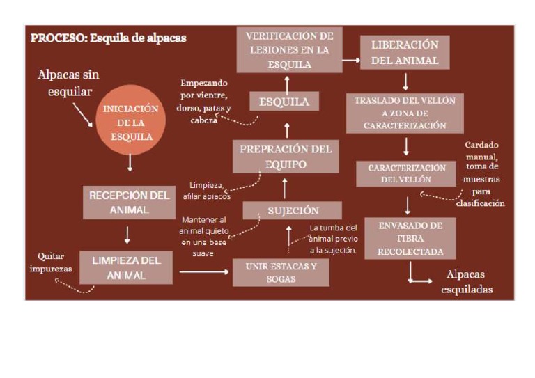 Diagrama de Proceso | PDF