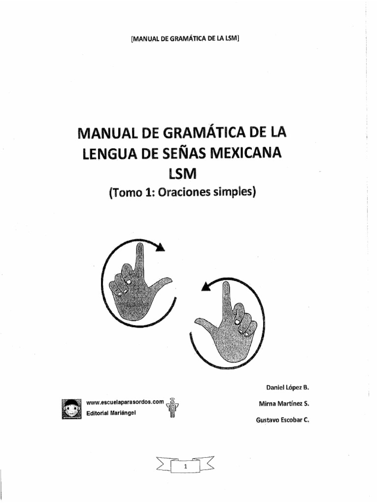 Manual LSM | PDF