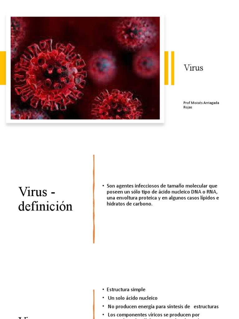 Virus 1 | PDF | Virus | Biología Celular)