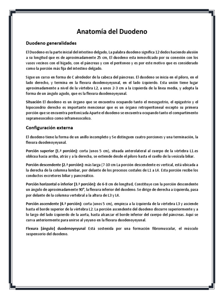 Anatomía y Estructura del Duodeno | PDF | Abdomen | Órgano (anatomía)