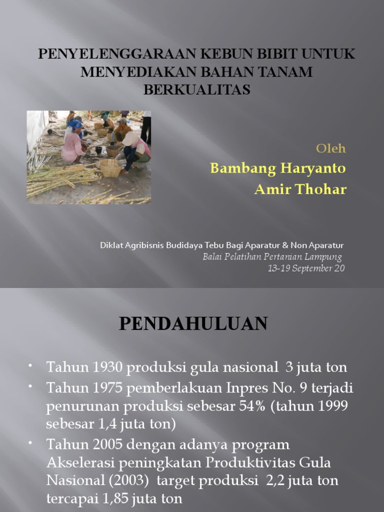 Tebu - Pembibitan & Penataan Varietas | PDF