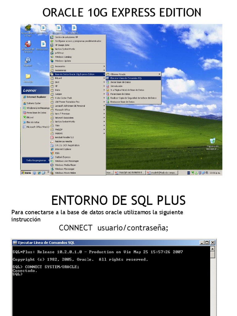 Oracle 10G Express Edition | PDF | Contraseña | Gestión de datos