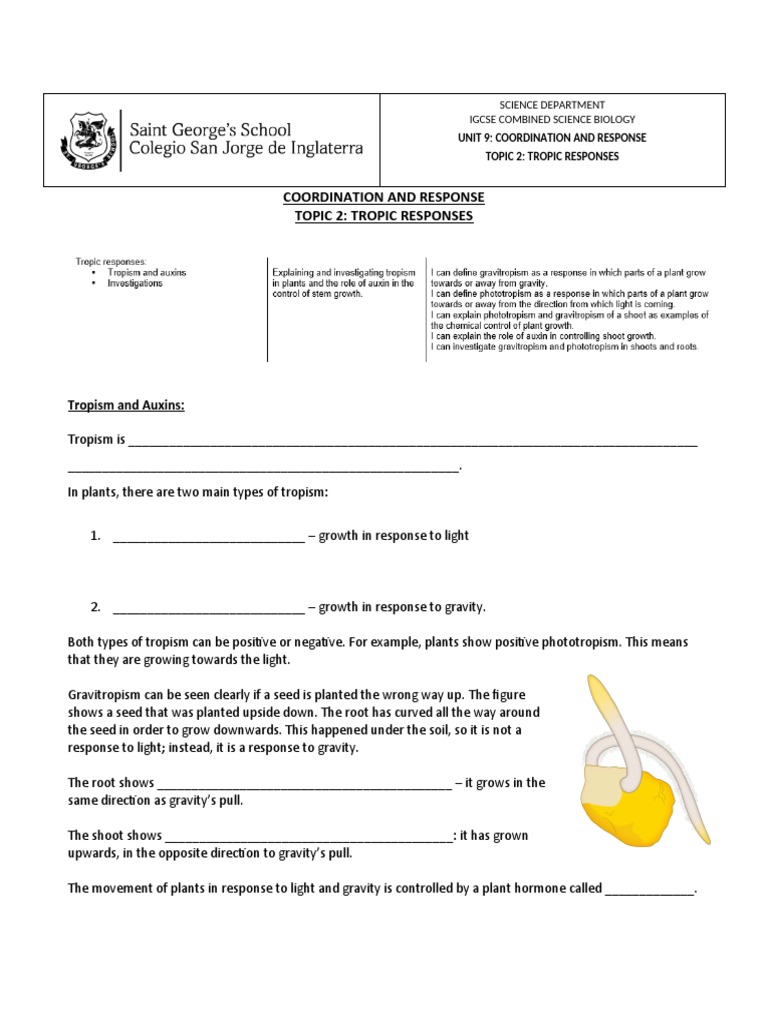 Unit 9 Class Guide TOPIC 2 Tropic Responses | PDF | Plant Physiology ...