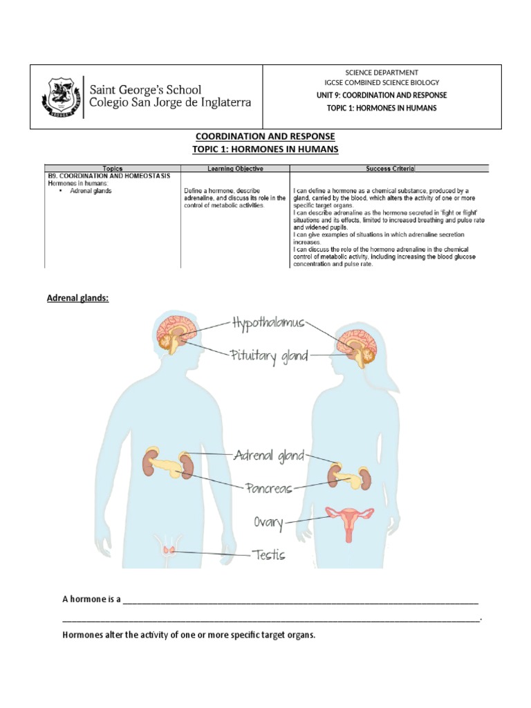 Unit 9 Class Guide TOPIC 1 Hormones in Humans | PDF