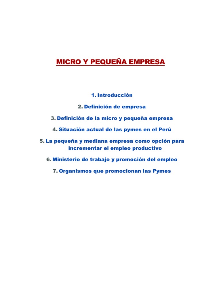 MICRO Y PEQUEÑA EMPRESA | PDF | Pequeñas y medianas empresas | Compañía ...