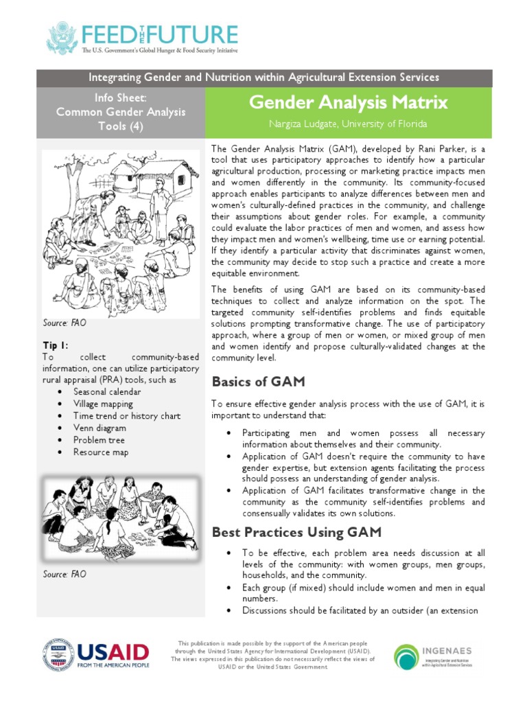 ING Info Sheet 2016 - 09 4 Gender Analysis Matrix Ludgate | PDF ...