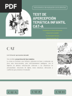 Ficha Técnica Cat - A | PDF | Ciencias del comportamiento | Sicología