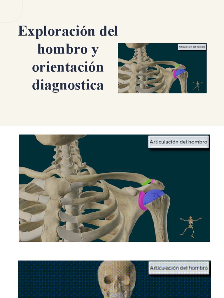 Exploración Del Hombro y Orientación Diagnostica | PDF | Hombro | Mano