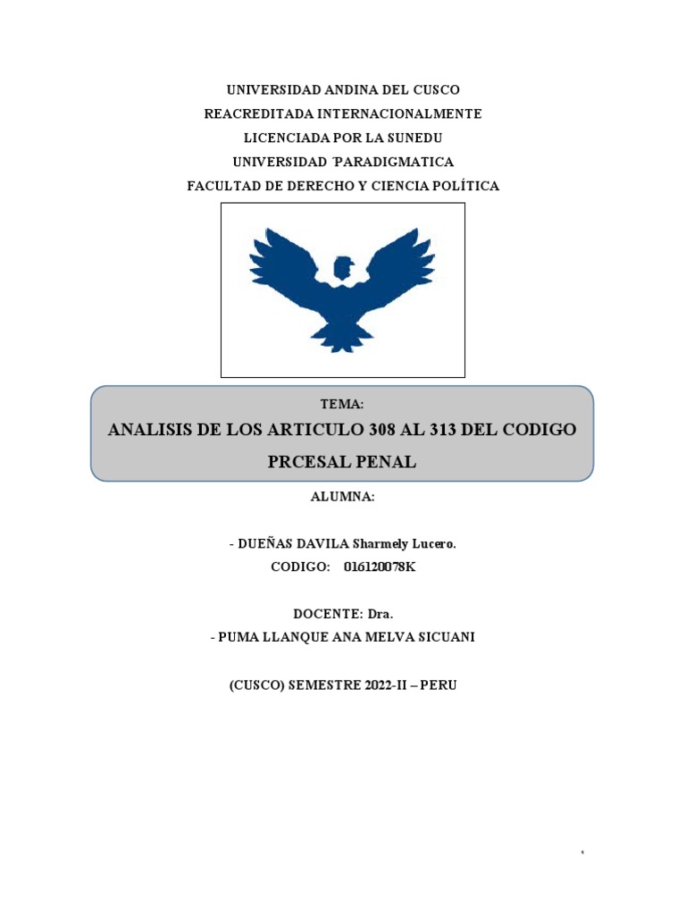 Análisis Artículos 308-313 CPP | PDF | Mandato | Derecho penal