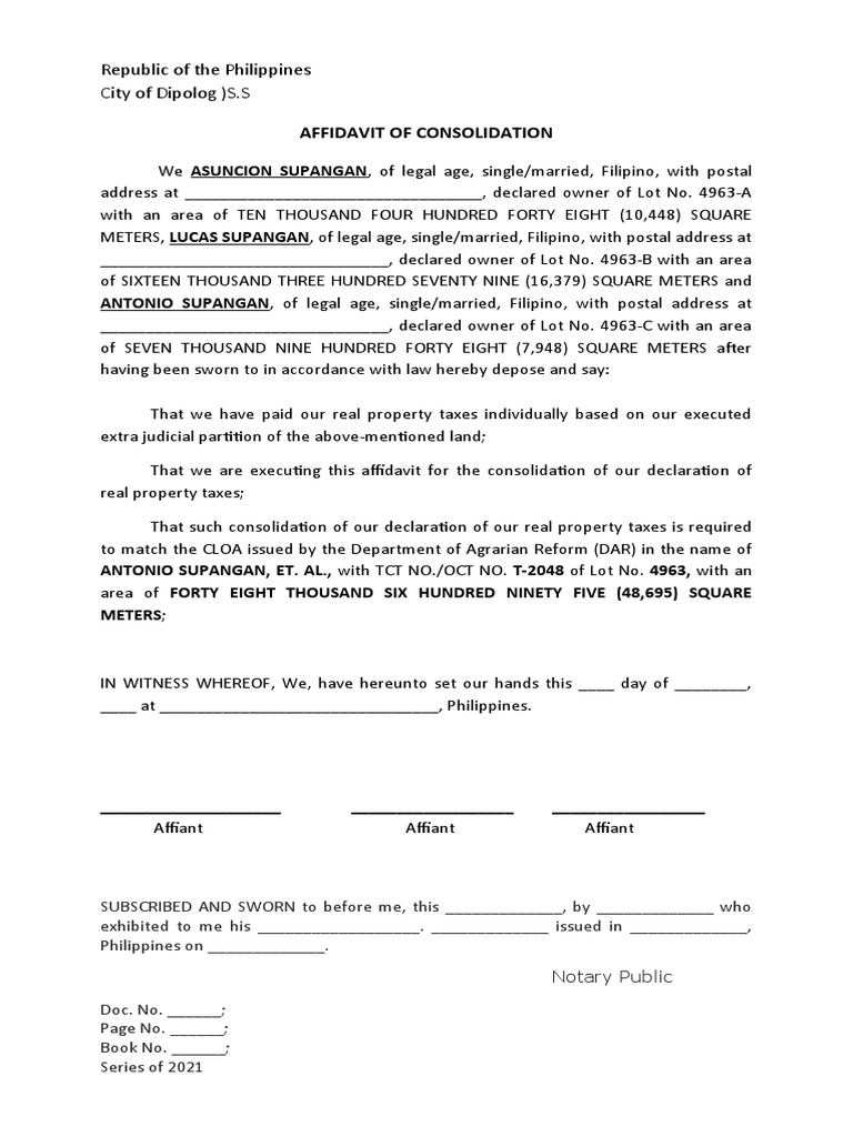 Affidavit of Consolidation | PDF