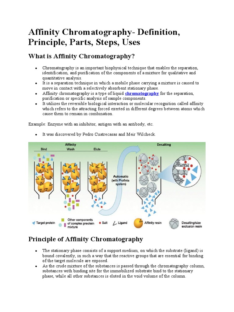 Affinity Chromatography | PDF | Chromatography | Protein Purification