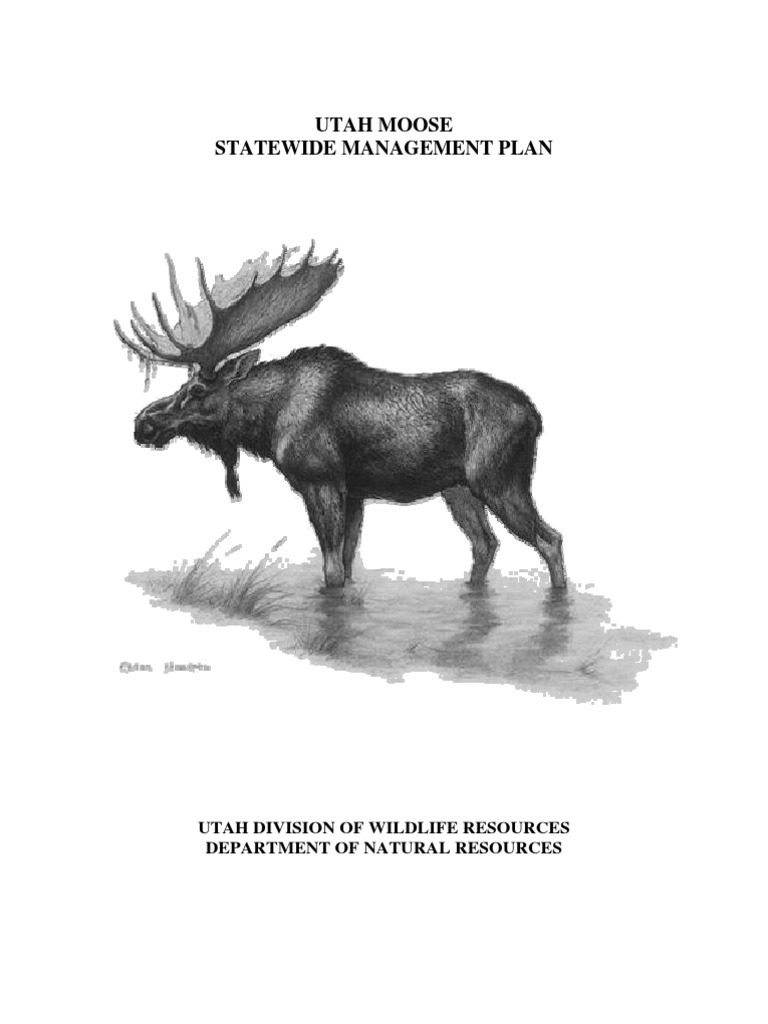 Utah Moose Management Plan | PDF | Moose | Hunting