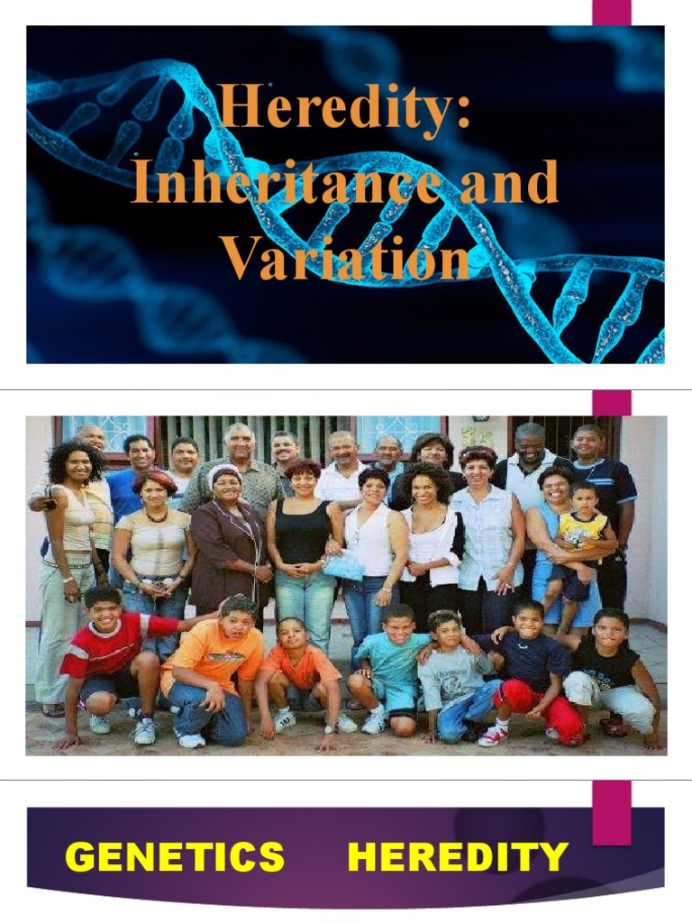 Heredity - Inheritance and Variation | Download Free PDF | Dominance (Genetics) | Heredity