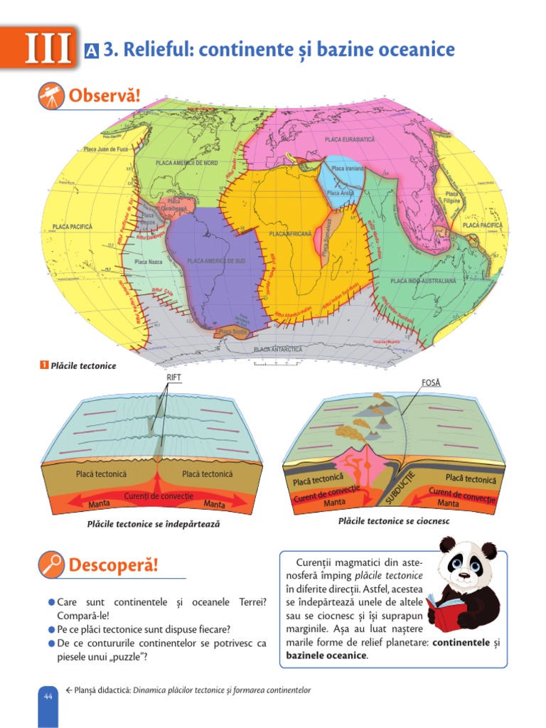 Relieful Continente Și Bazine Oceanice | PDF