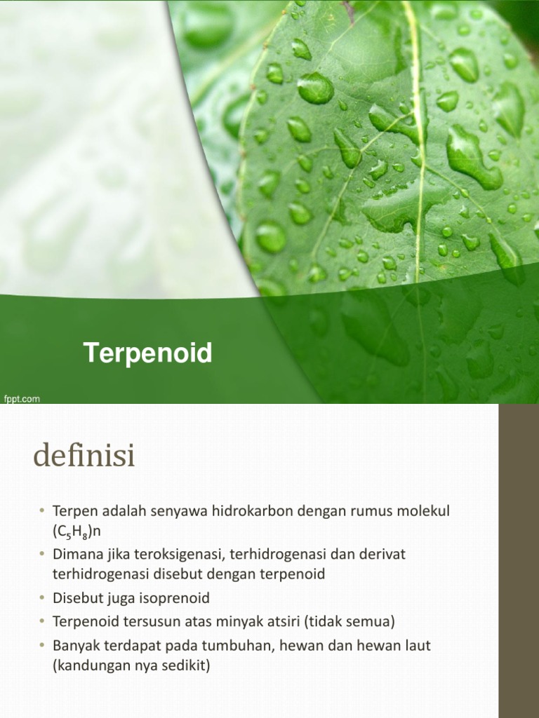 Terpenoid | PDF