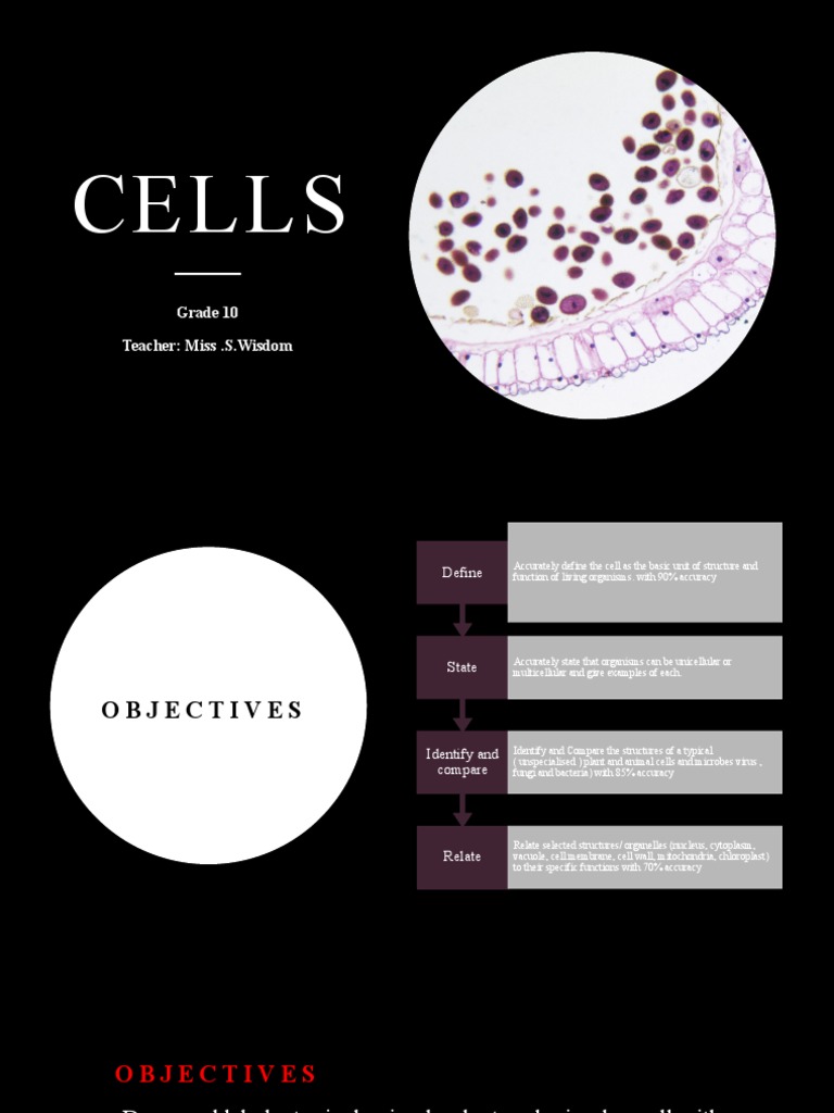 Cells | PDF | Cell (Biology) | Eukaryotes
