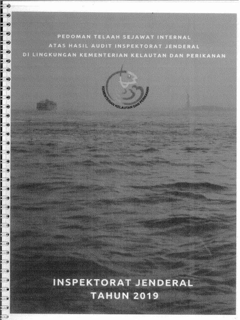 Pedoman Telaah Sejawat 2019 | PDF