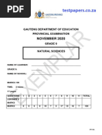 Grade 8 Term 1 Natural Science Practical Task 2025-1 | PDF ...