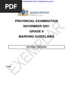 Grade 9 History Notes Term 1 Updated | PDF | Nazi Germany | Weimar Republic