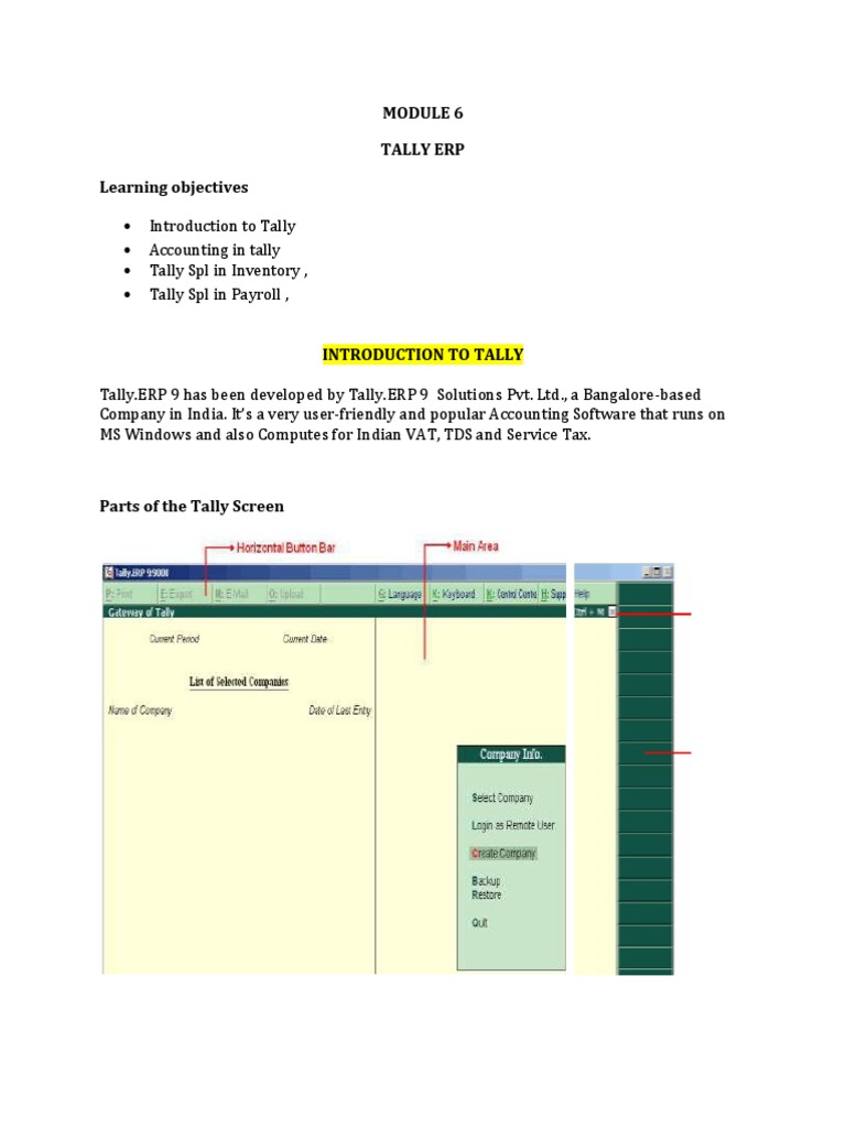 MODULE 6-Tally | PDF
