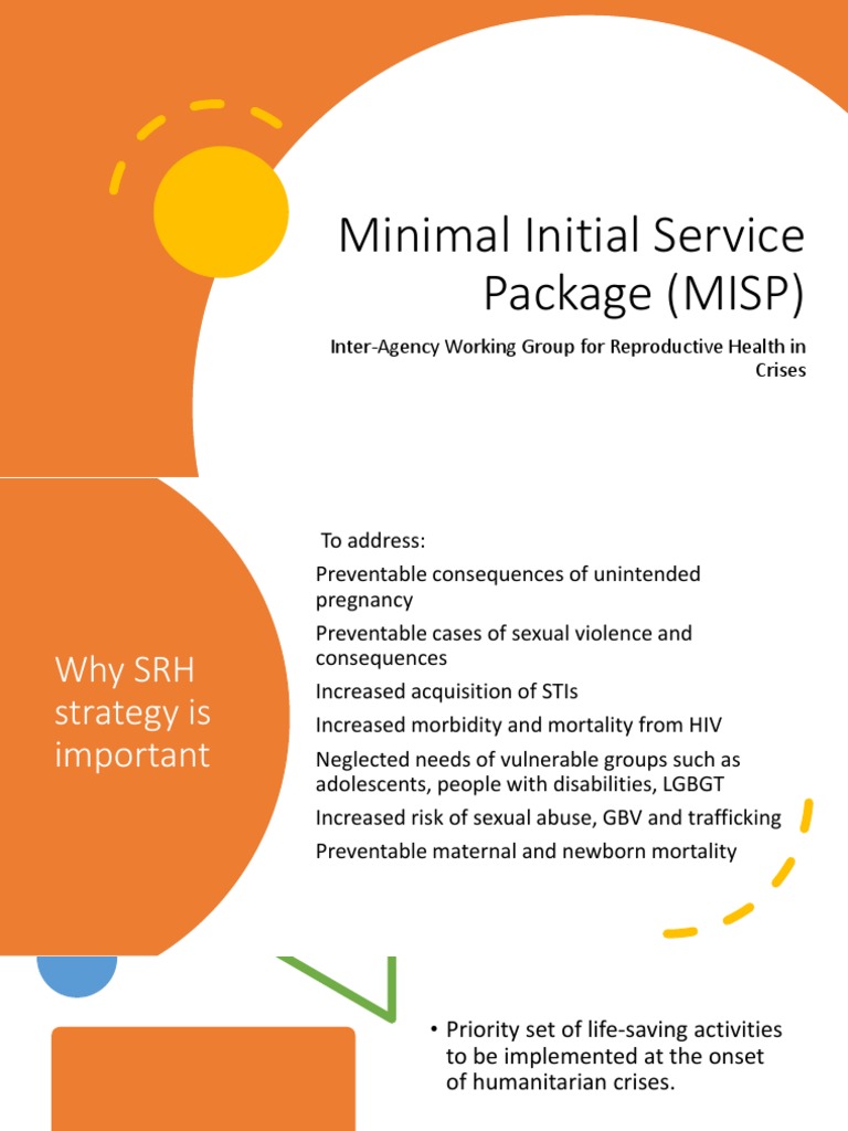 Minimal Initial Service Package | PDF | Maternal Death | Health Sciences