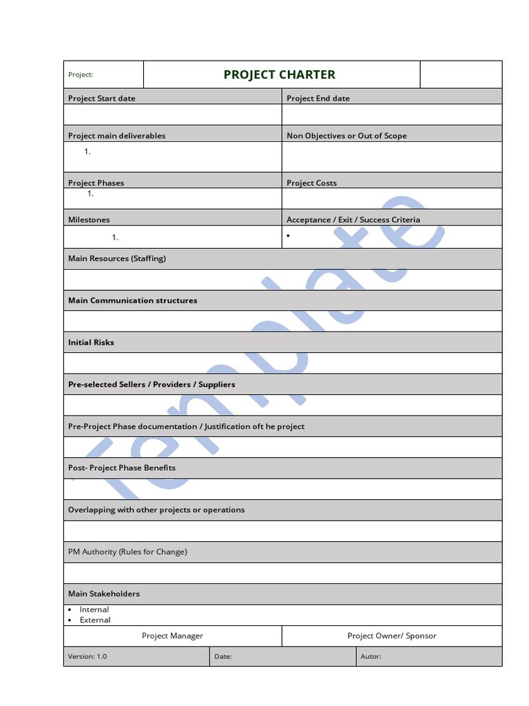 Project Charter Template - 2022 | PDF
