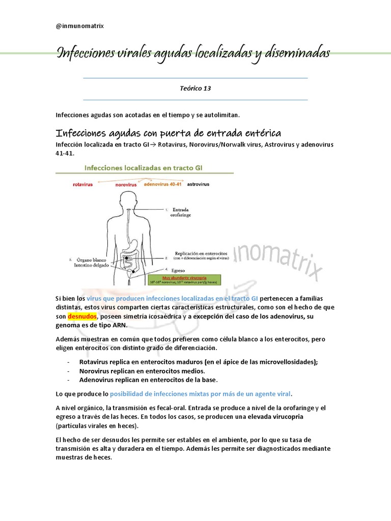 Infecciones Virales Agudas Localizadas y Diseminadas | PDF | Influenza ...