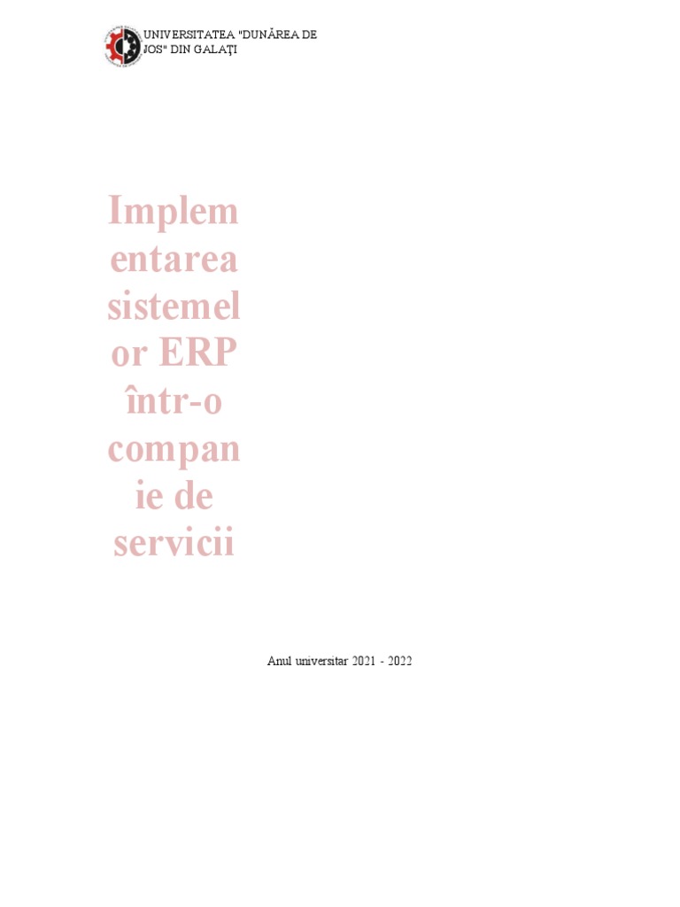 Implementarea Sistemelor Erp | PDF