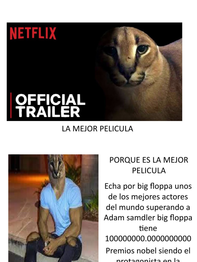 Floppa La Pelicula | PDF