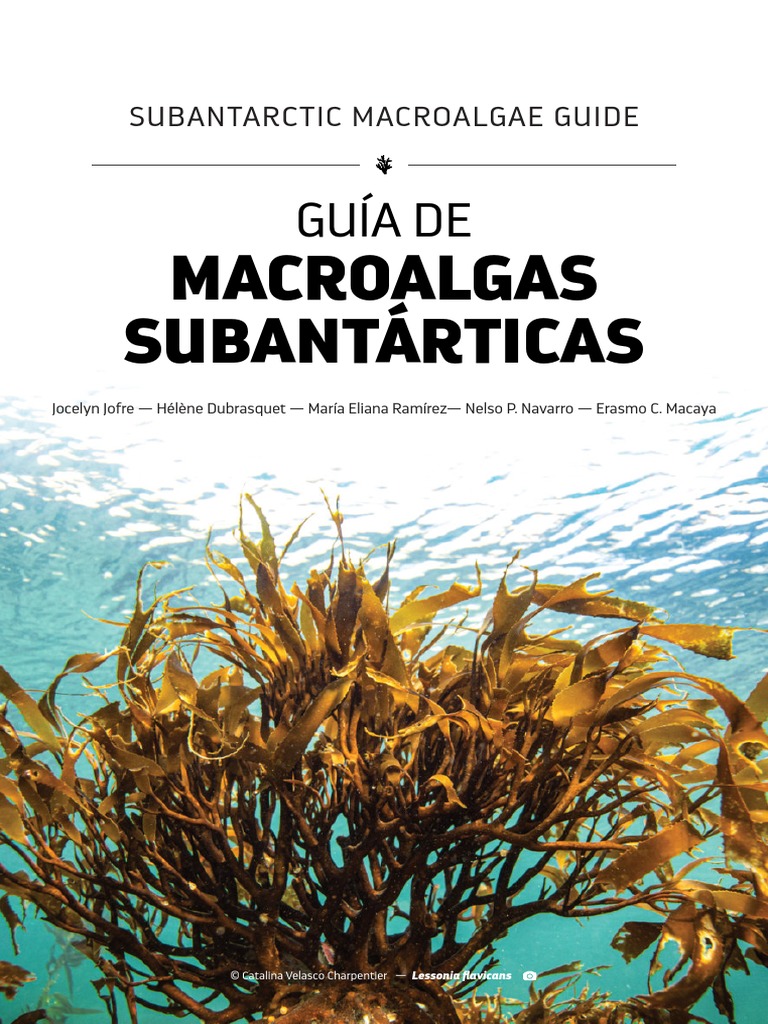 Guia Macroalgas Subantarticas | PDF | Ecology | Oceanography