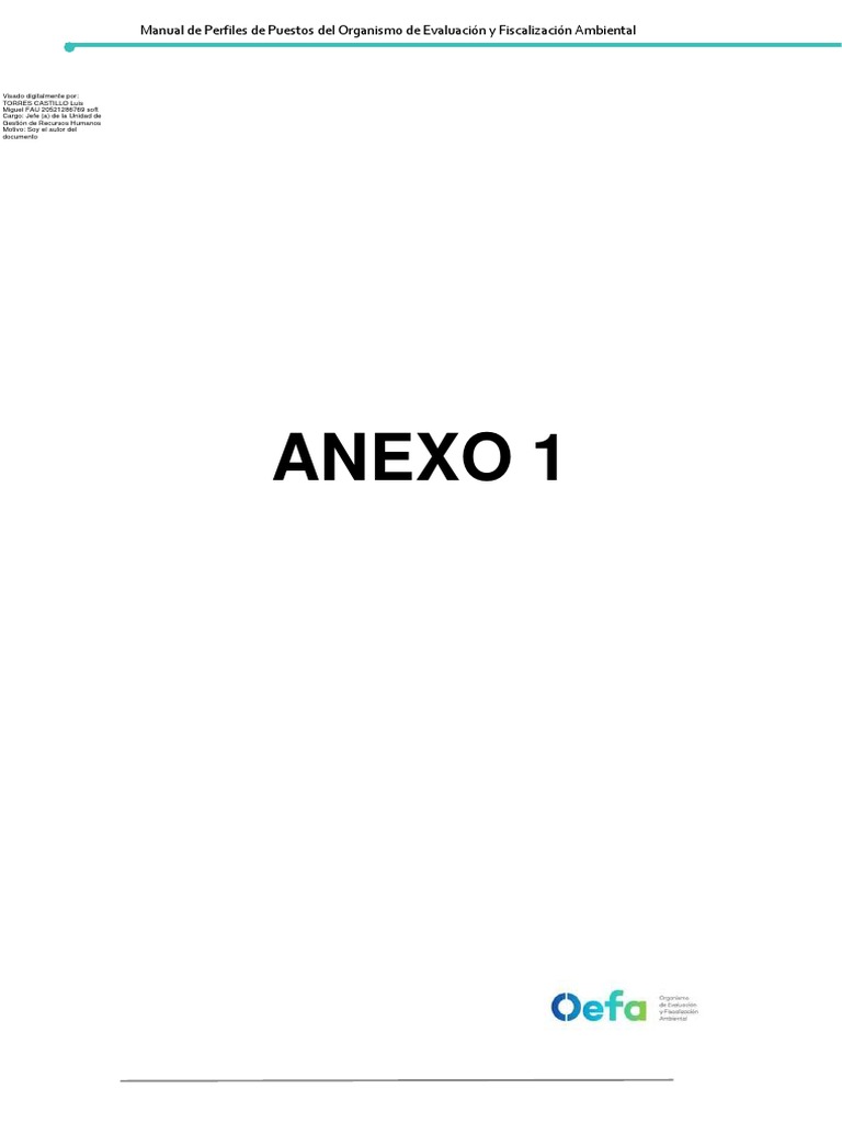 MANUAL DE PERFILES DE PUESTOS DEL ORGANISMO DE EVALUACIaN Y FISCALIZACIaN AMBIENTAL - MPP ...