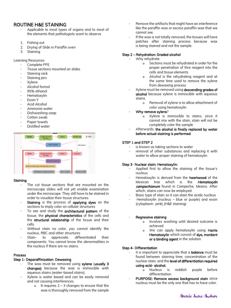 H&E Staining Procedure Overview | PDF | Staining | Cytopathology