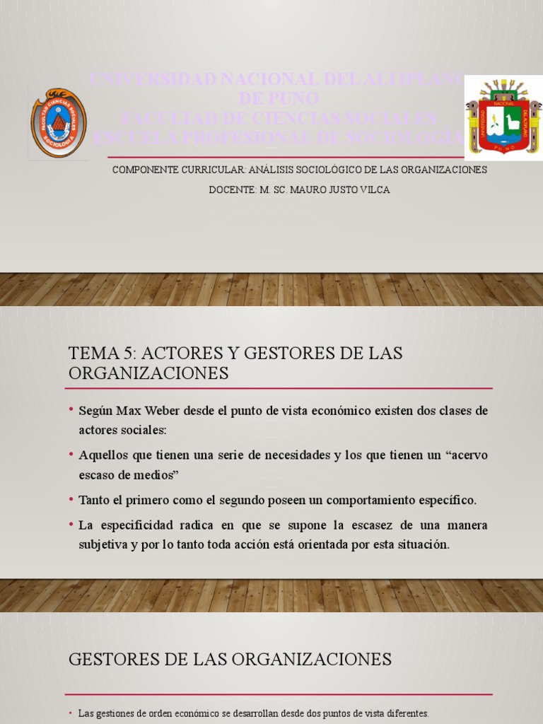 Diapositivas Tema 5b | PDF | Monopolio | Max Weber