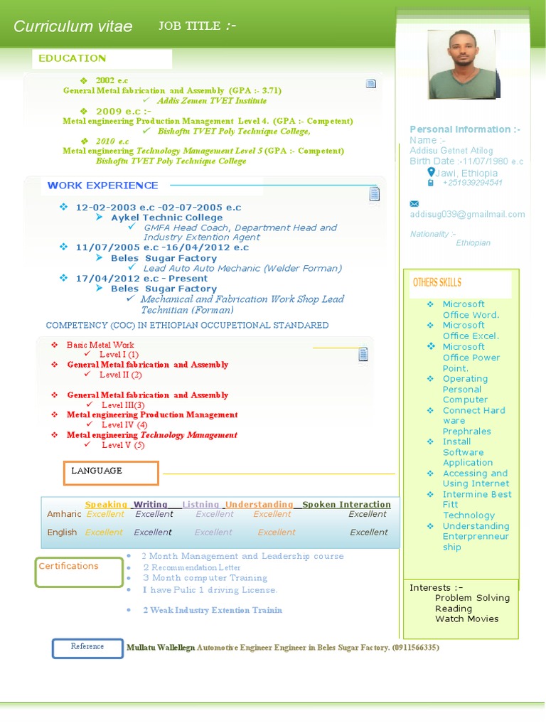 Adisu CV | Download Free PDF | Computing