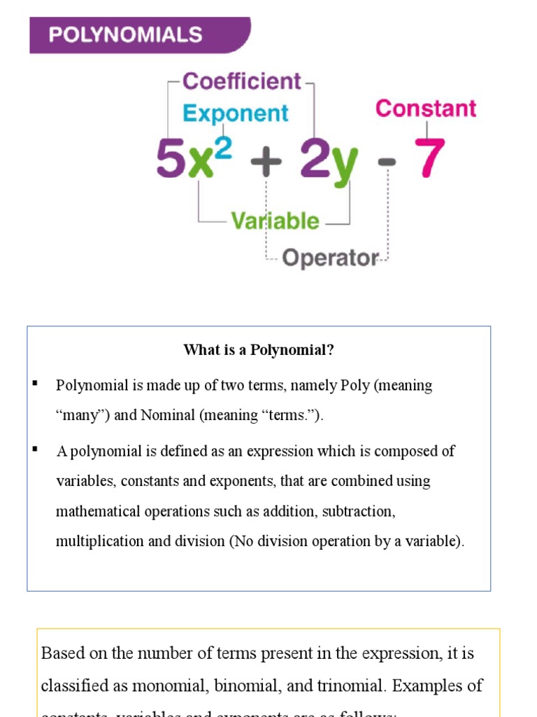 POLYNOMIALS | PDF | Polynomial | Equations