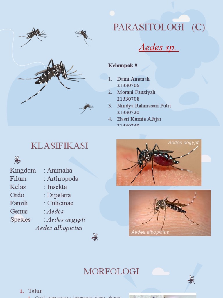 Kel 9 - PPT Parasitologi - Aedes SP | PDF