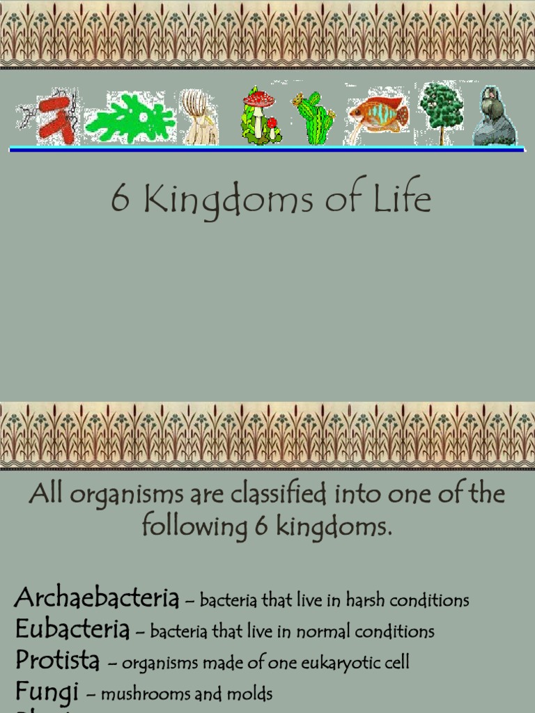 Six Kingdoms of Life | PDF | Organisms | Cell (Biology)