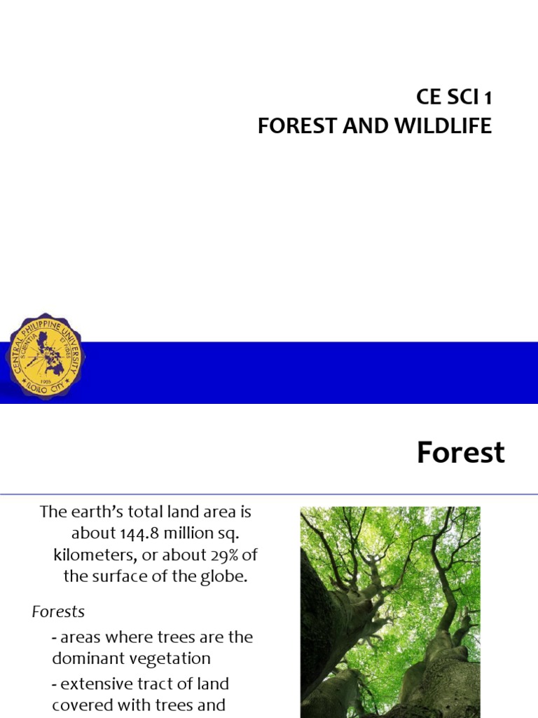 7 Forest and Wildlife | PDF | Forests | Deforestation