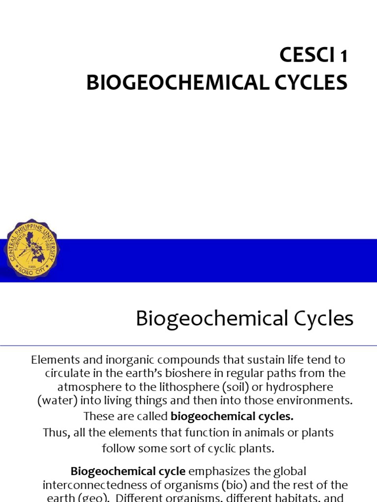 Overview of Biogeochemical Cycles | PDF | Water Cycle | Water
