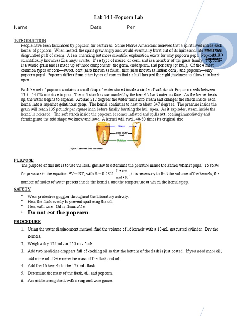 Popcorn Lab: Gas Laws in Action | PDF | Popcorn | Nature