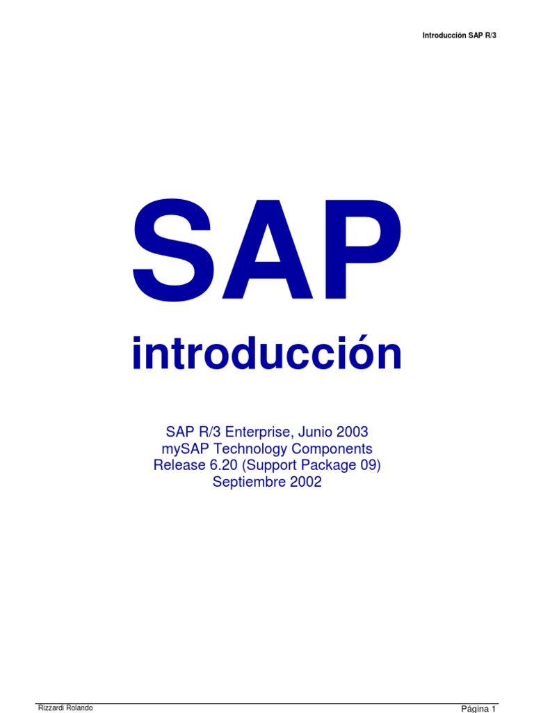 Manual de Sap | PDF