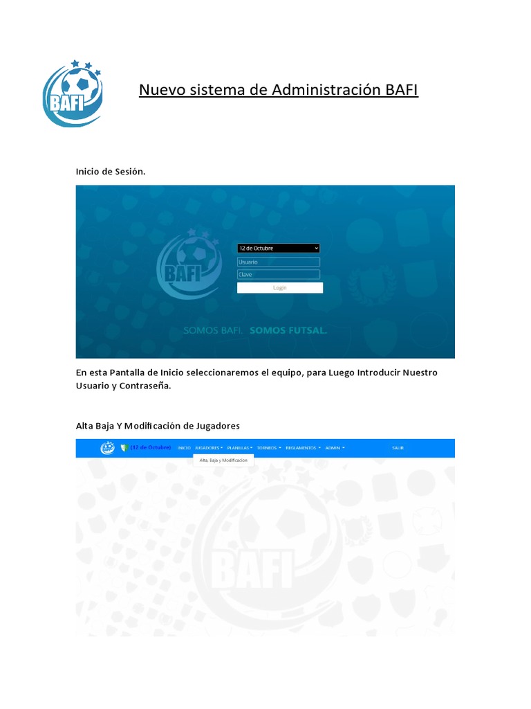 Guia Sistema BAFI | PDF