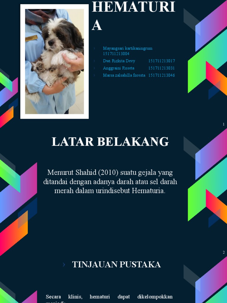 Hematuria PPT Fix | PDF