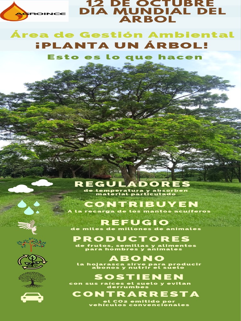 Dia Mundial Del Árbol | PDF