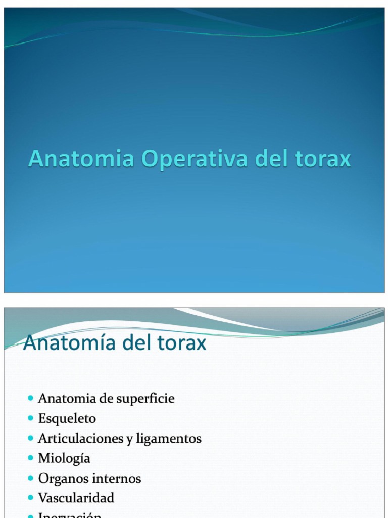 Torax | PDF